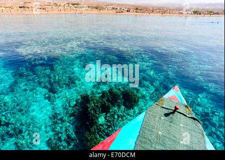 Jordan. Japanese Gardens is a popular beach and dive site south of ...