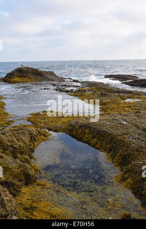 Laguna Tide Pools Stock Photo - Alamy