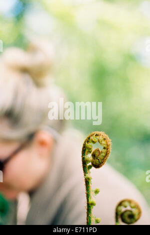 Selective focus of a plant growing on sidewalk Stock Photo - Alamy