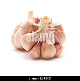 large bulbs of garlic isolated Stock Photo - Alamy