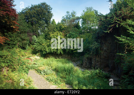 Fossil Grove at Victoria Park Glasgow, Scotland GB UK fossilized trees ...