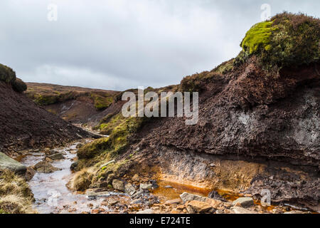 Peat Hag on moorland in the Yorkshire Dales National Park Stock Photo ...