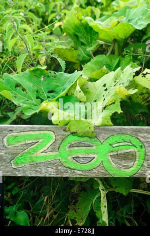 Bench, graffiti, vandalism Stock Photo - Alamy