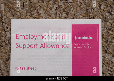 Notes sheet to accompany an Employment and Support Allowance (ESA ...