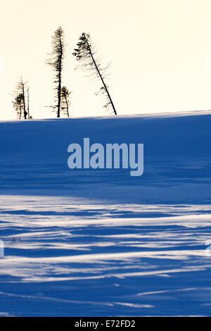 Tundra at sunset, Wapusk National Park, Churchill, Manitoba, Canada ...