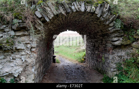 long stone corridor with stairway in ancient castle Stock Photo - Alamy
