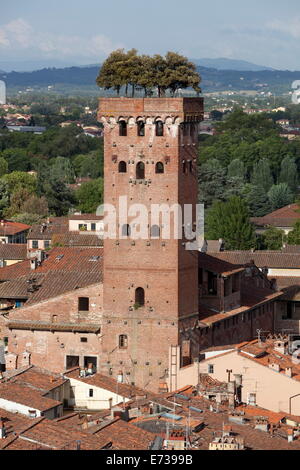 Tree topped tower of the Torre Guinigi rises above Via Sant'Andrea in ...
