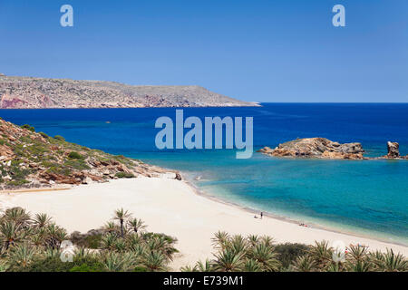 Beach and Palm Tree Forest, Vai, Lasithi, Eastern Crete, Crete, Greek ...