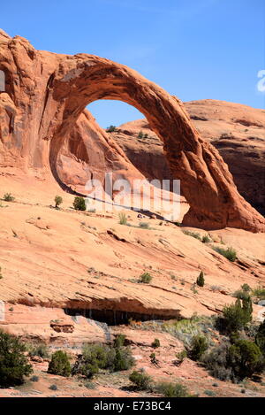 Corona Arch, outside Moab, Utah, USA Stock Photo - Alamy