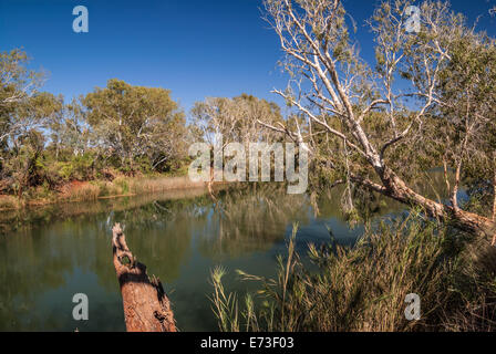 CROSSING POOL, MILLSTREAM CHICHESTER NATIONAL PARK, PILBARA REGION ...