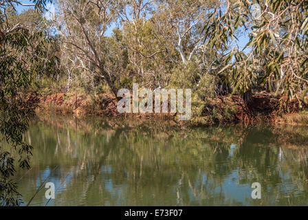 CROSSING POOL, MILLSTREAM CHICHESTER NATIONAL PARK, PILBARA REGION ...