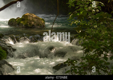 Banias Spring and Stream (Banias River or Hermon River) Golan Heights ...