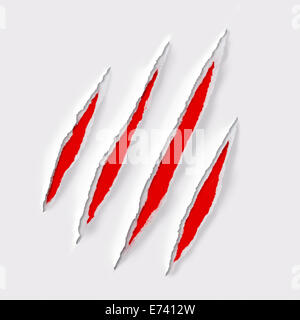 Tiger Claw Mark scratches on tree trunk Corbett Stock Photo - Alamy