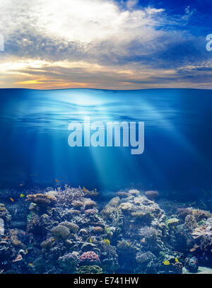Underwater Ocean With Sunset - Abyss With Sunlight - Abstract Defocused ...