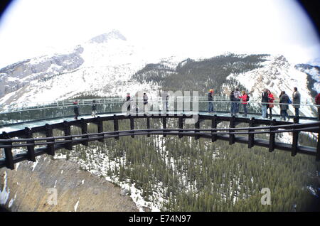 Jasper Banff glacier Sky walk (skywalk) bridge with see through glass ...