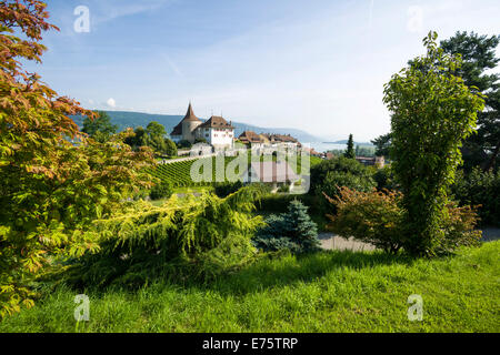 Erlach Castle, located on a hill and surrounded by vineyards ...