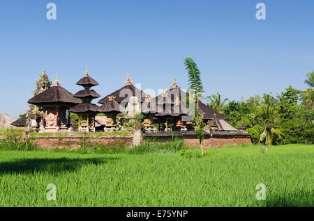Rice field, Ubud, Bali, Indonesia Stock Photo - Alamy