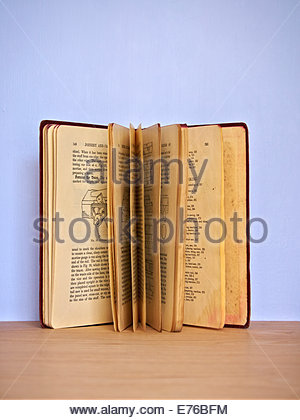 Open Book Standing Stock Photo: 1190805 - Alamy