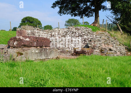 Y Gaer Brecon Gaer Roman Hill Fort near Aberyscir brecon Wales Cymru UK ...