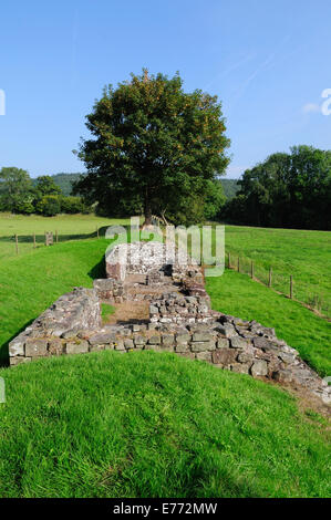 Y Gaer Brecon Gaer Roman Hill Fort near Aberyscir brecon Wales Cymru UK ...