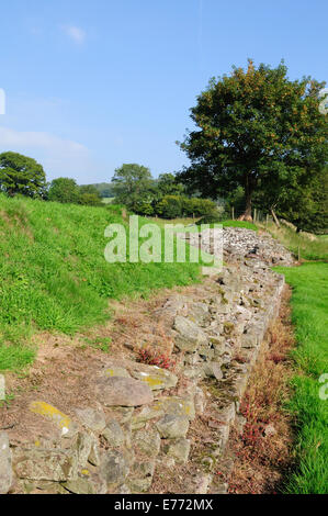 Y Gaer Brecon Gaer Roman Hill Fort near Aberyscir brecon Wales Cymru UK ...