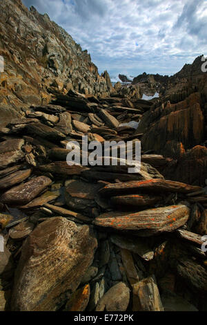 Close up view of a rocky shelf in the seabed covered in crustaceans and ...
