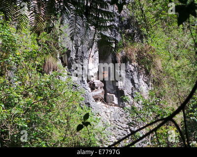 Tourist attraction Hanging coffins of Sagada. Philipphines hanging ...
