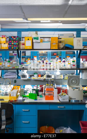 Bottles and equipment in a very messy chemical laboratory Stock Photo ...