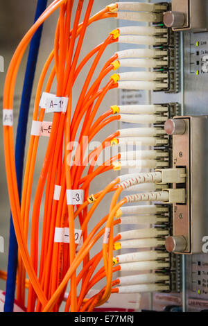 Fiber cables plugged into a high end router machine at a computer Stock ...