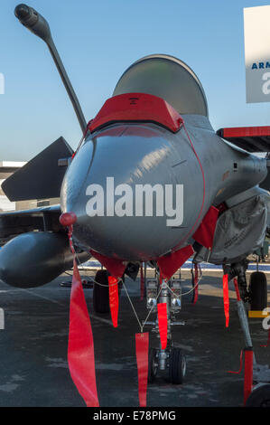 Dassault Rafale, a French twin-engine, canard delta wing, multirole ...