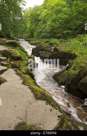 A vast river flowing through a narrow area Stock Photo - Alamy