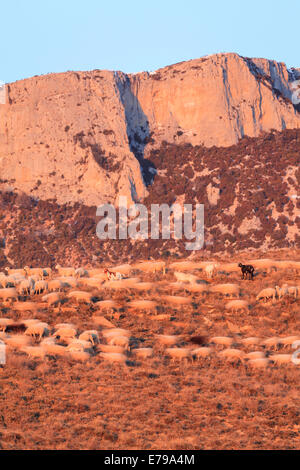 Serra de Sant Gervàs. Pre-Pyrenees. Lleida province. Catalonia. Spain ...