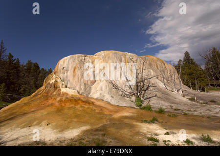 a geyser cone geological formation in Mammoth Hot Springs Stock Photo ...