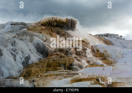 post-volcanic activity at Mammoth Hot Springs in Yellowstone National ...