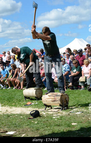 Lumberjack and lumberjill compete in a tree climbing competition at the ...