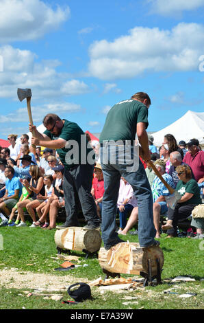 Lumberjack and lumberjill compete in a tree climbing competition at the ...
