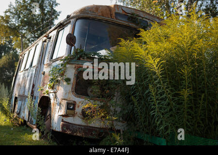 Rusty old abandoned bus Stock Photo - Alamy
