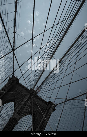 a spider web or cobweb, architectural structure in the nature a spider ...