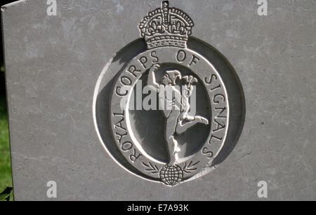 Royal Corps of Signals regimental badge emblem crest on a military ...