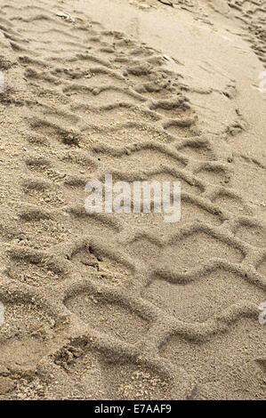 texture of car tire trail in mud Stock Photo - Alamy