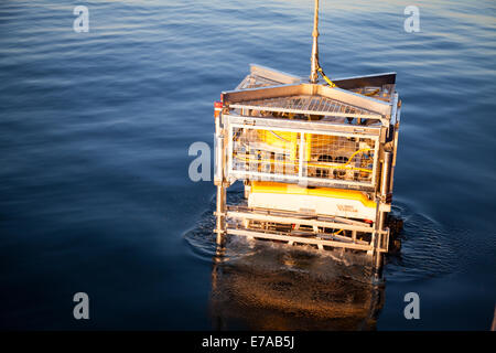A Remotely Operated Underwater Vehicle (ROV), operated by the U.S. Navy ...