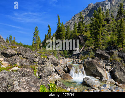 mountain summer landscape. small pine tree among tall meadow grass on ...