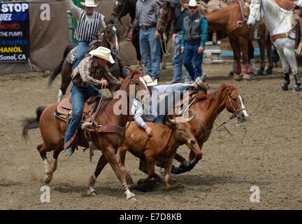 The Rowell Ranch Rodeo, Castro Valley CA Stock Photo - Alamy