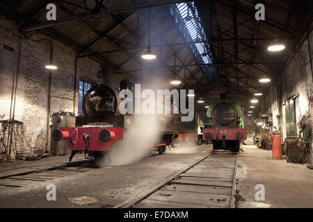 Steam trains in shed at Tanfield Railway, the oldest railway in the ...