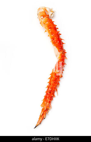 Cooked Peruvian Southern King crab leg (Lithodes Santolla ) isolated on ...