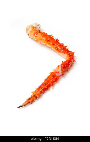 Cooked Peruvian Southern King crab leg (Lithodes Santolla ) isolated on ...