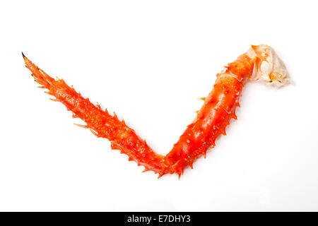 Cooked Peruvian Southern King crab leg (Lithodes Santolla ) isolated on ...