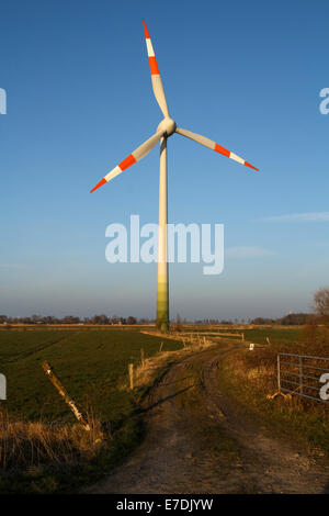 Hinte, Germany, wind turbine in a field Stock Photo - Alamy