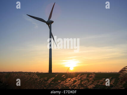 Hinte, Germany, wind turbine in a field Stock Photo - Alamy