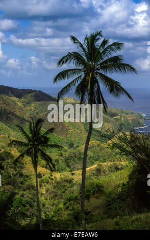 Agriculture and farming with deforestation in Tobago West Indies Stock ...